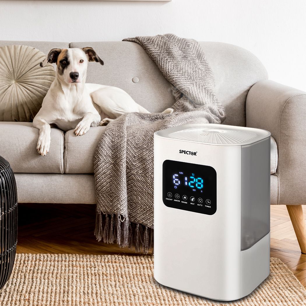 Air Purifying Mist Humidifier Ultrasonic 6L Diffuser Cool Office Home ...